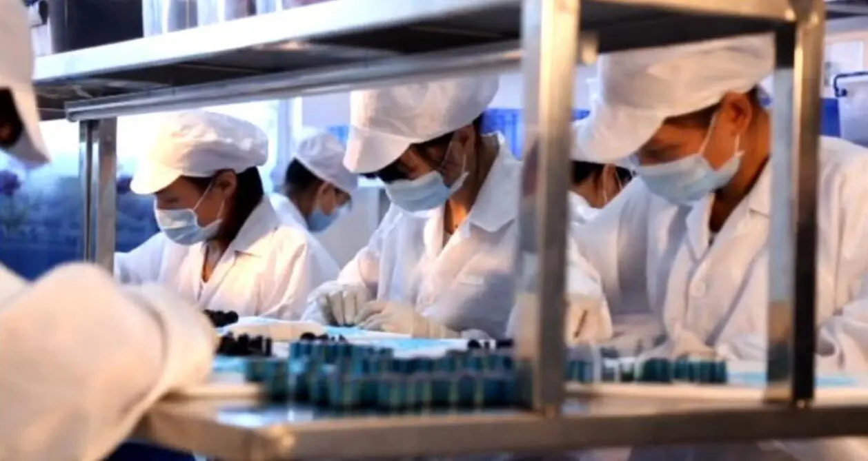 Derma Roller Manufacturing Trends: What’s Popular in 2024 | Xdermaroller