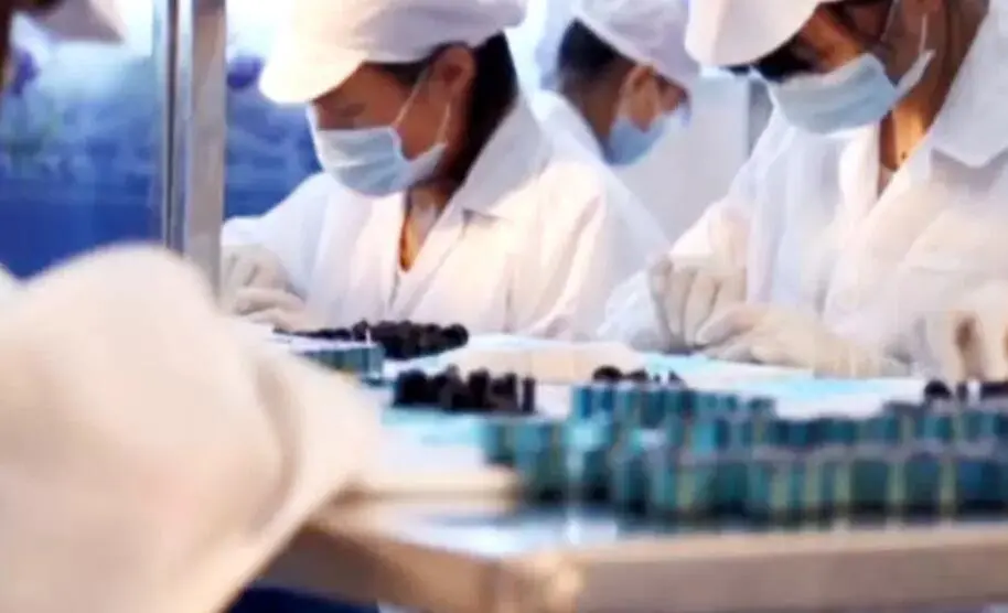 Tips for Building a Sustainable Derma Roller Production Line | Xdermaroller